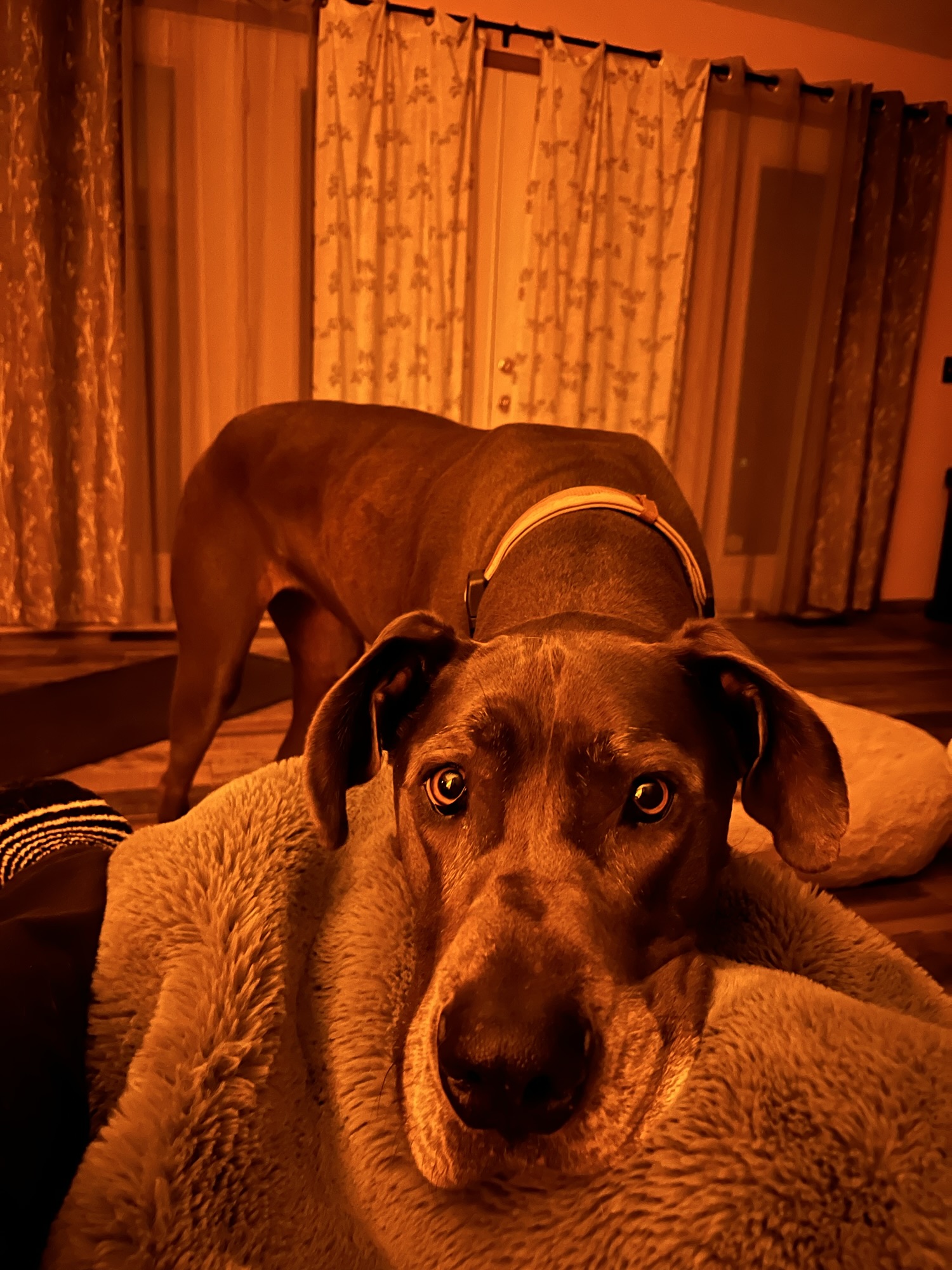 Unlocking Health Through Epigenetics: Small Changes, Big Impact—for You ...